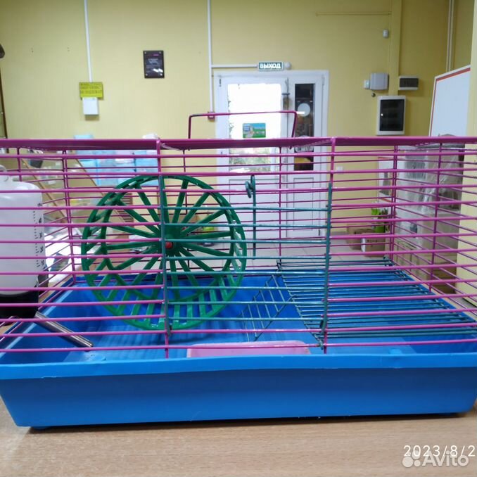 Клеточка + хомячок