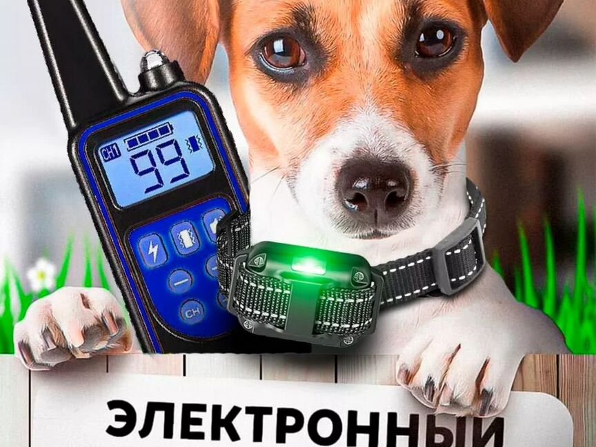 Электро ошейник для собак