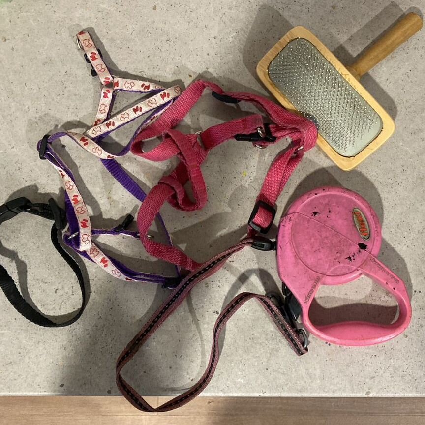 Поводок для маленьких собак