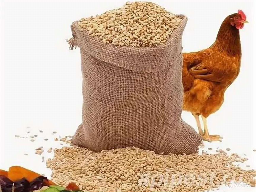 Корм для куриц и зайцев с витаминами