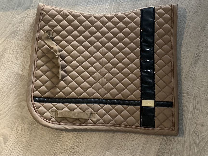 Вальтрап equestrian stockholm