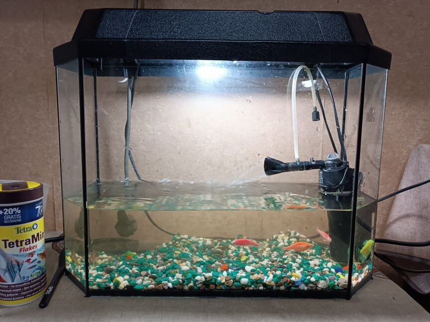 Аквариумные рыбки