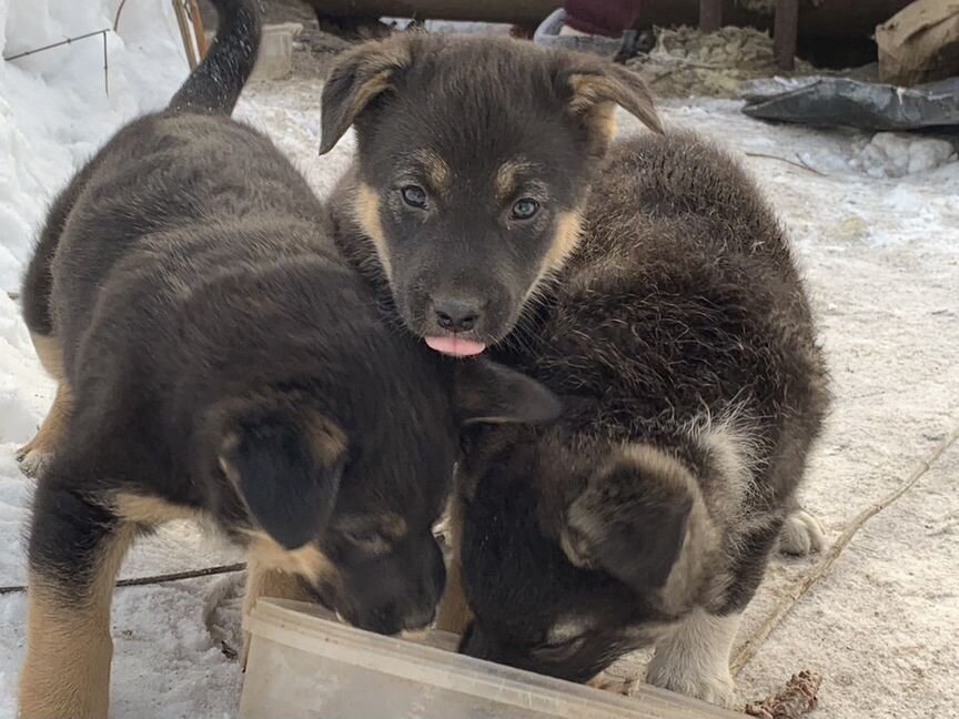 Ищем самые добрые ручки для малышей