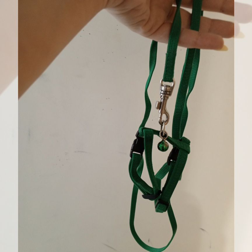 Шлейка для хорька амуниция