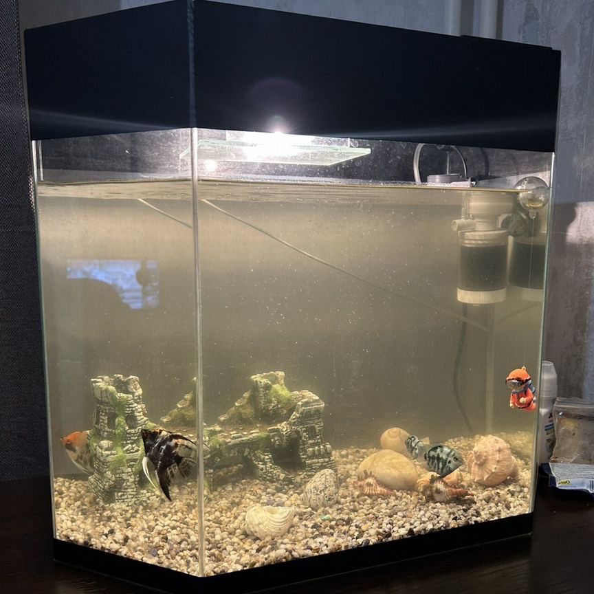 Аквариум с рыбками