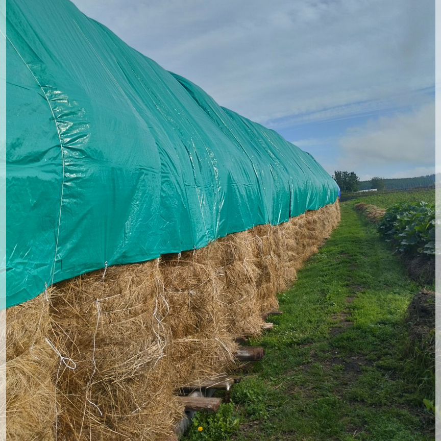 Продам сено в рулонах