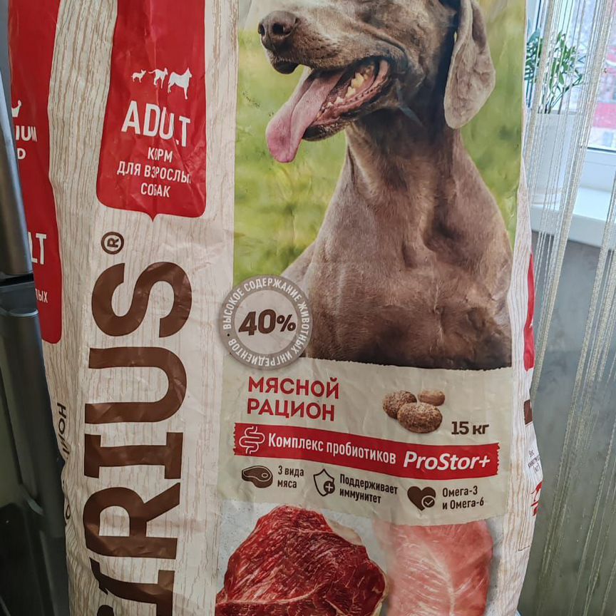 Сухой корм для собак