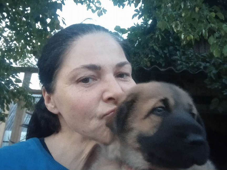 Помесь