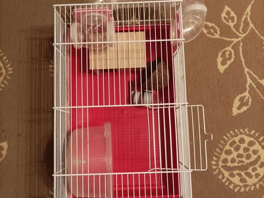 Клетка для грызунов бу. Поилка, домик, колесо