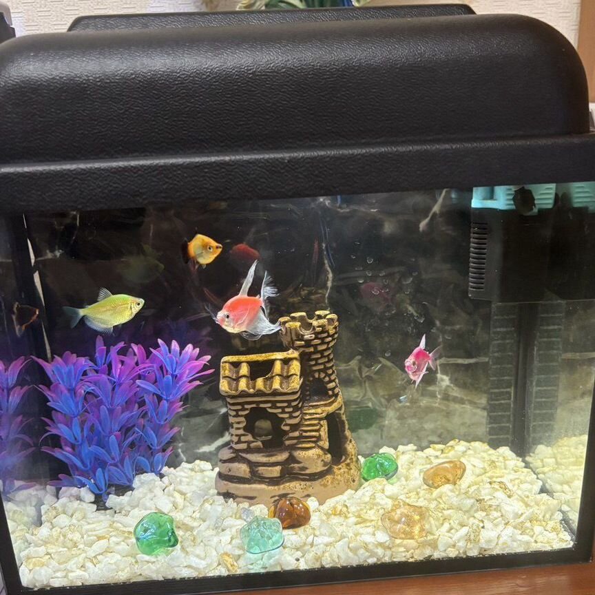 Аквариум 12л