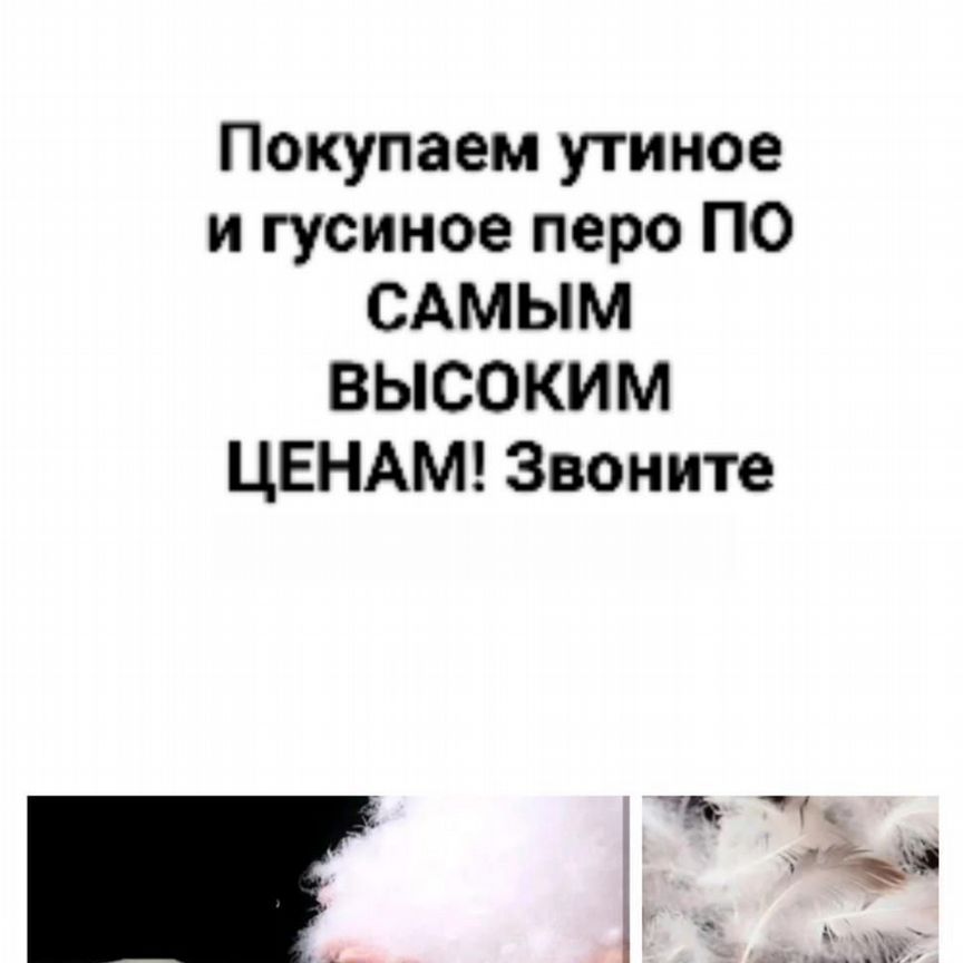 Пух перо гусиное