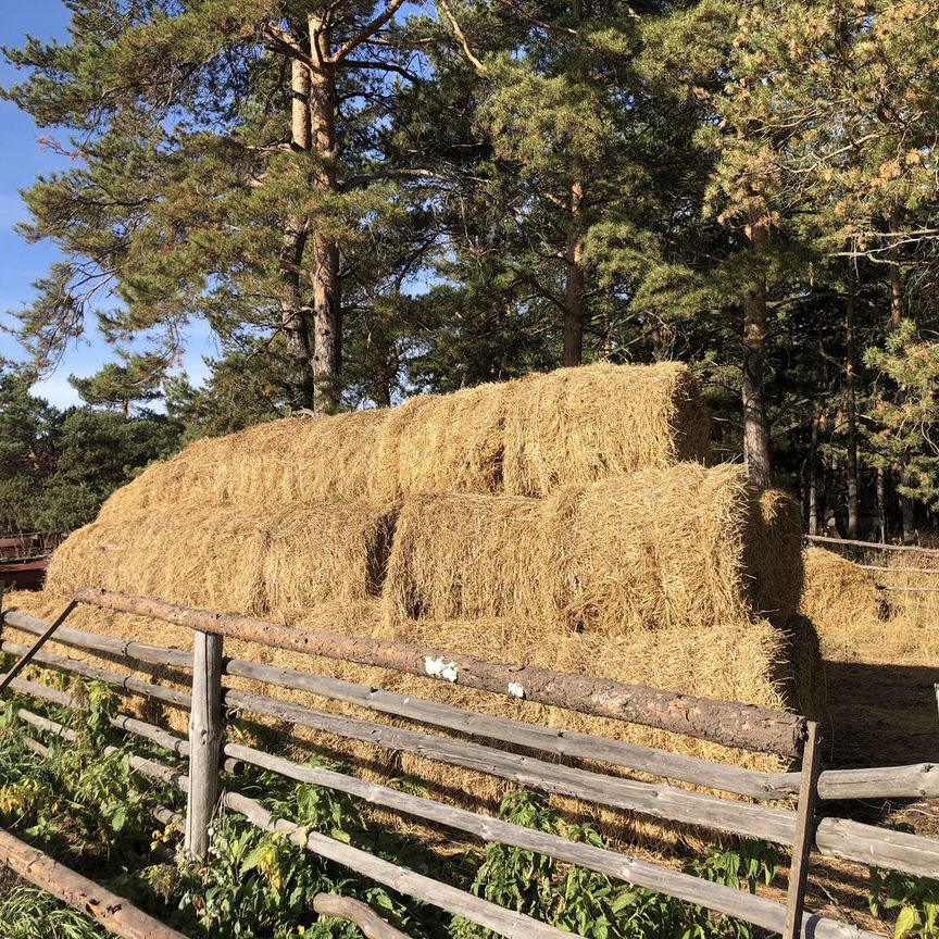 Солома в тюках