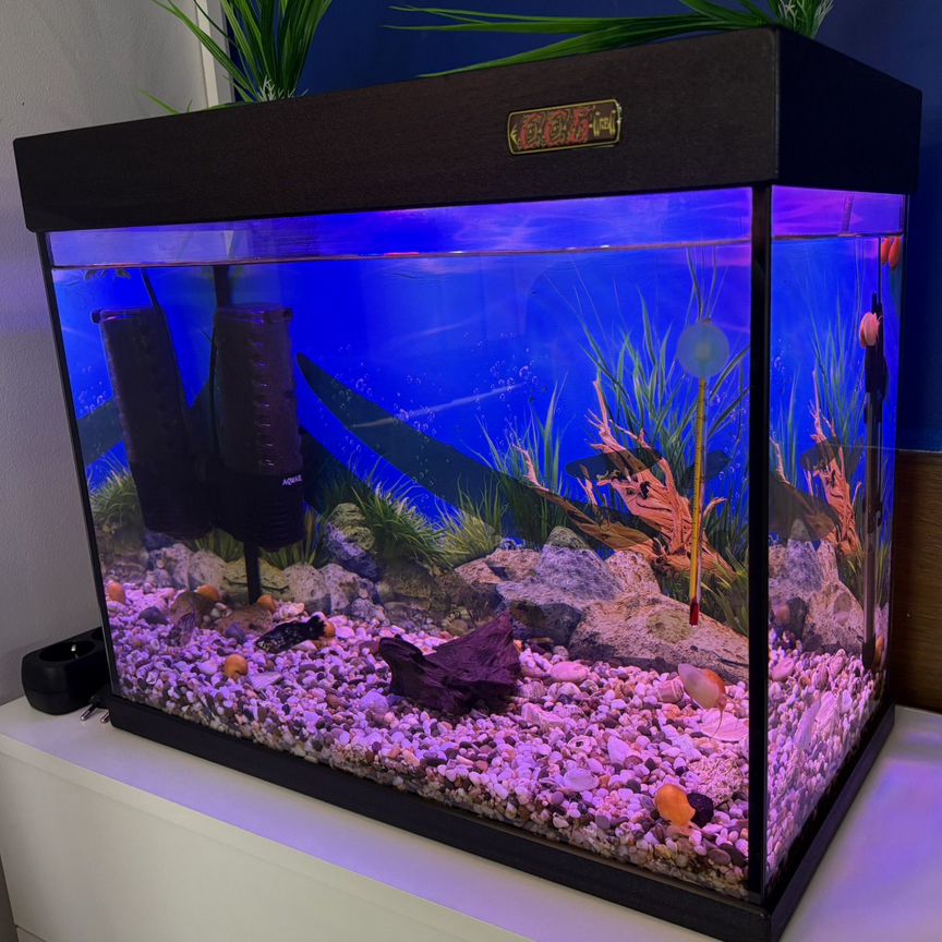Аквариум в сборе 52л