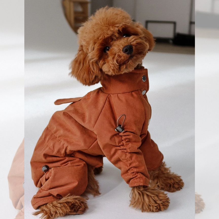 Комбинезон Scoby mo touch