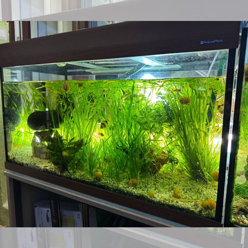 Аквариум комплект. С рыбками и оборудованием