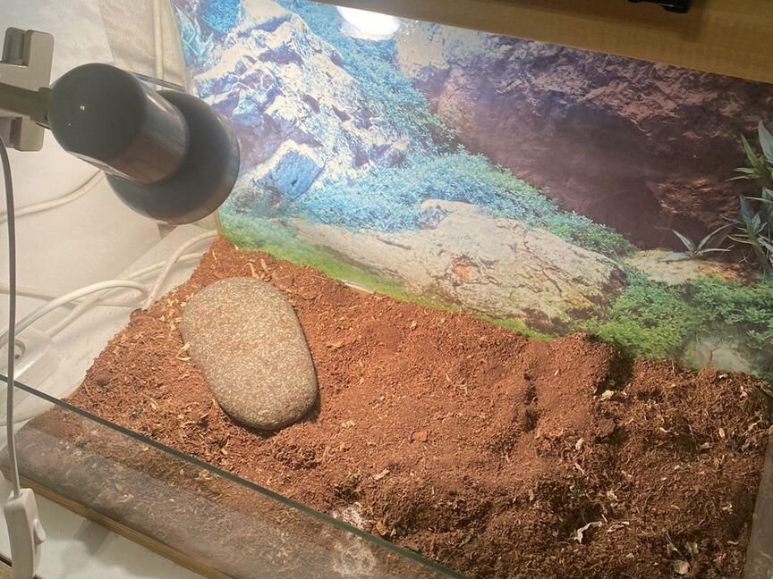 Террариум для черепахи с двумя лампами