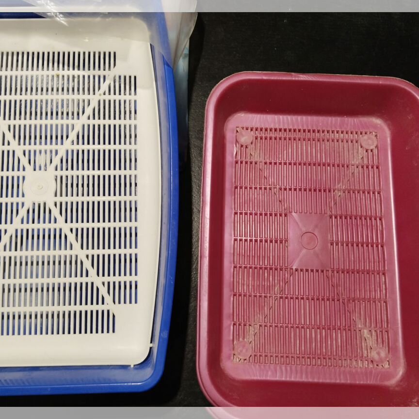 Лоток для кошек