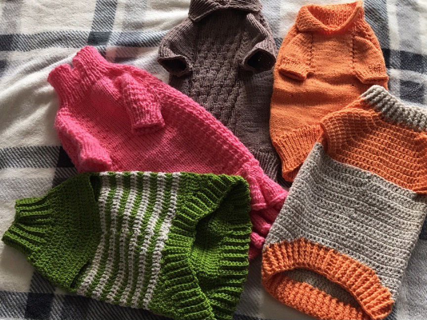 Свитер для сфинкса