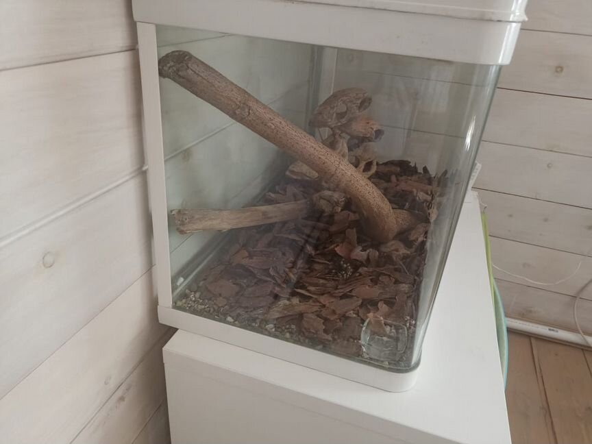 Террариум для черепахи, крупных рептилий