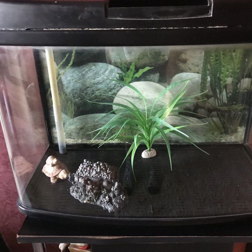 Аквариум для рыбок бу