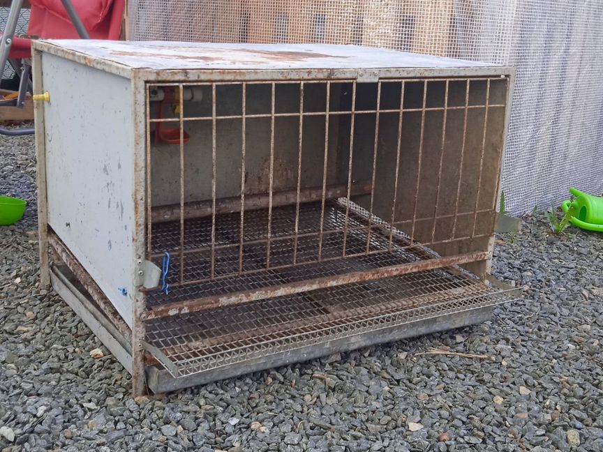 Клетка для куриц, перепелов, индекс и тд