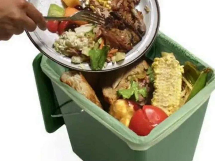 Пищевые отходы