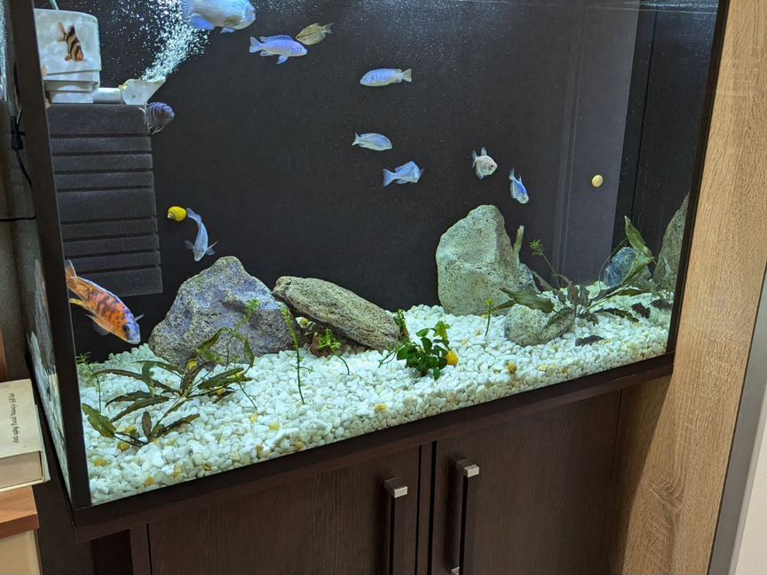 Аквариум 190 литров