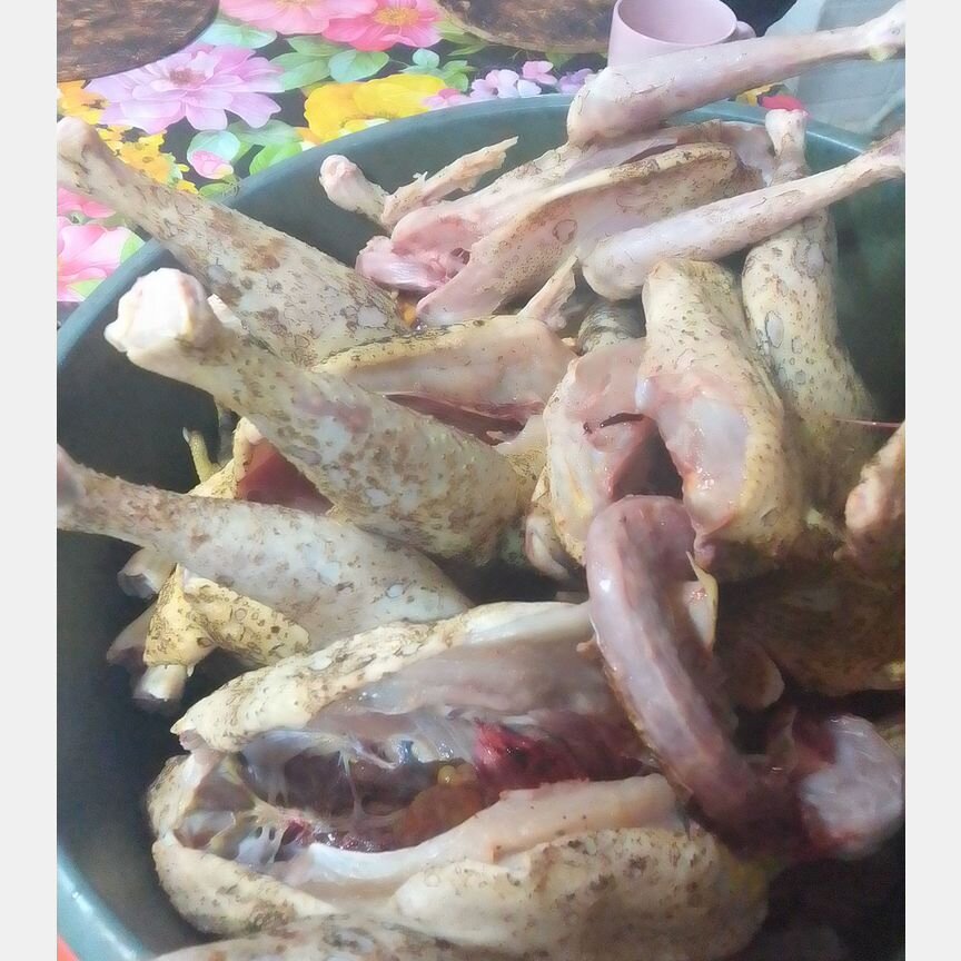 Петухи домашние на мясо