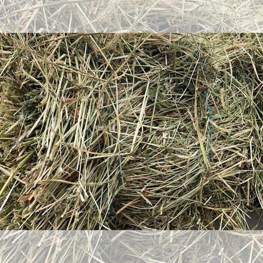 Сено в коробке луговое