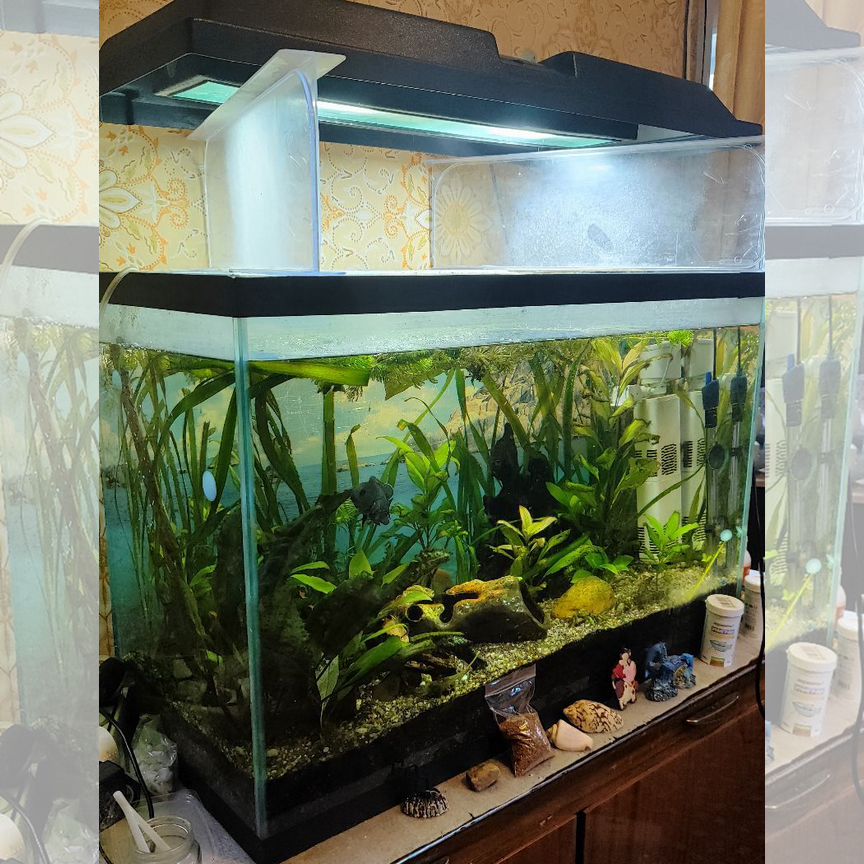 Аквариум 120л