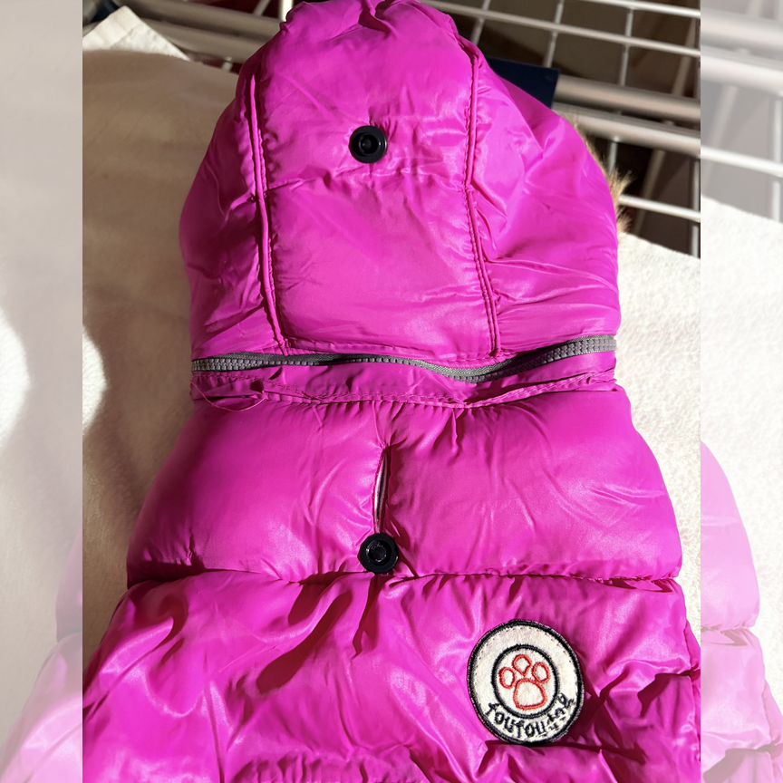 Теплая попона с капюшоном для маленькой собаки