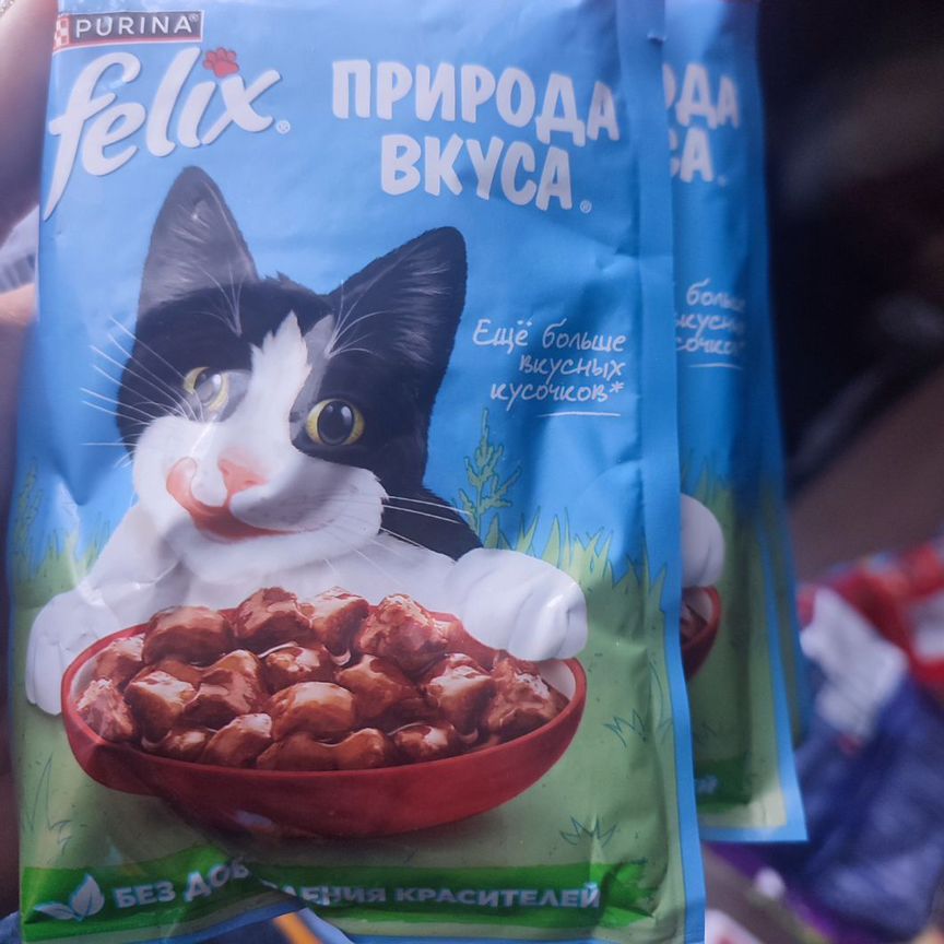 Корм для кошек