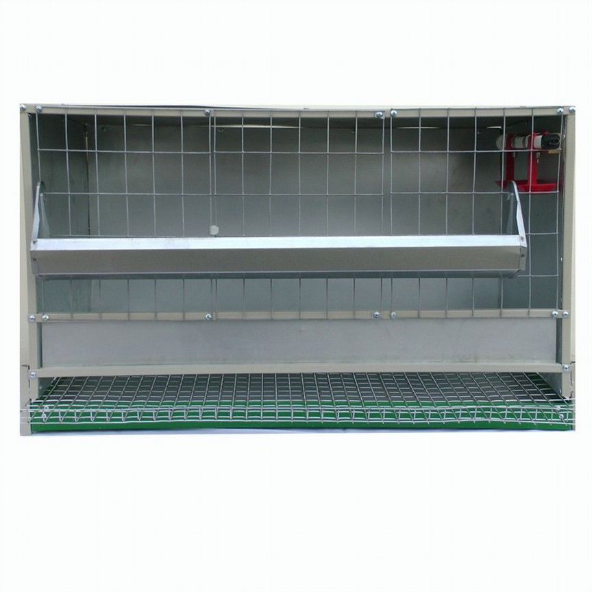 Клетки для бройлеров (Новая)