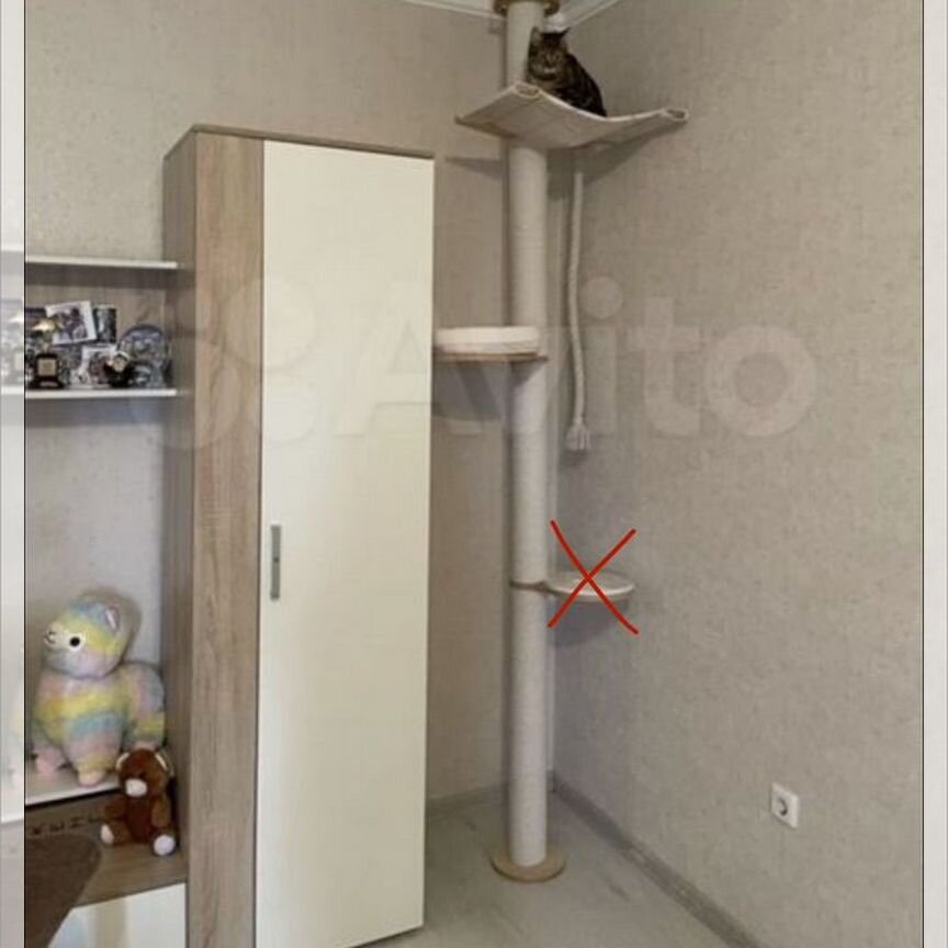 Когтеточка