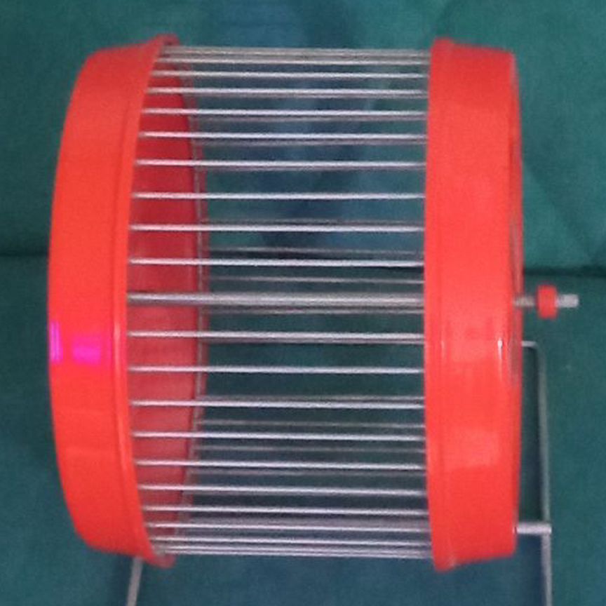 Беговое колесо