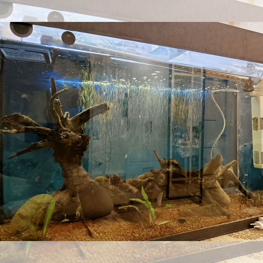 Аквариум для рыб 150 л