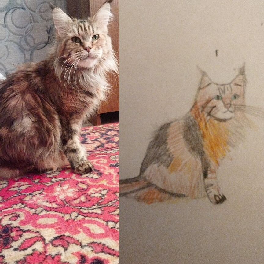 Рисую ваших домашних животных