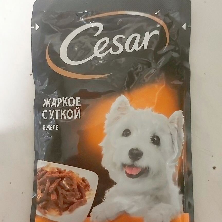 Caser Влажный корм для собак