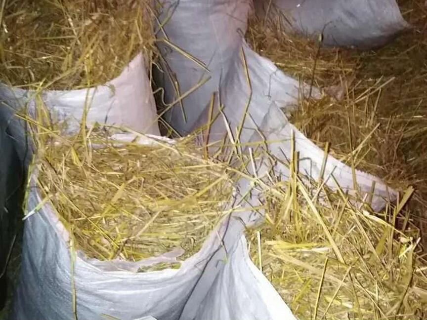 Сено, солома в мешках