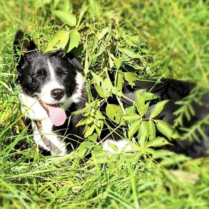 Небольшая девочка марфа из приюта ищет семью