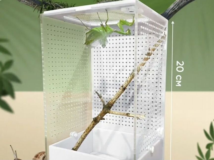 Контейнер (терариум) для богомола, улитки