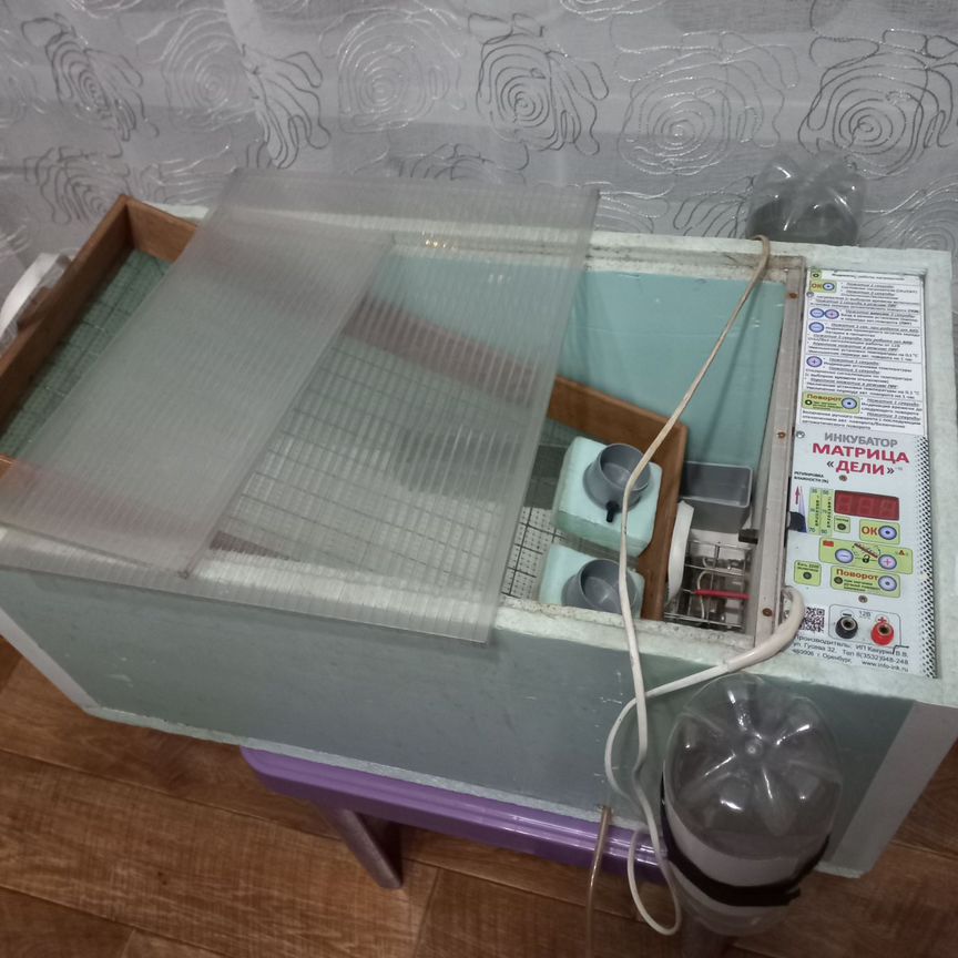 Инкубатор для яиц автоматический бу