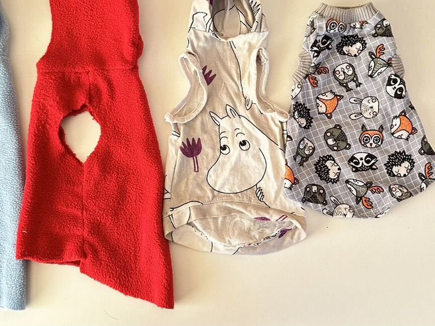 Одежда для сфинкса