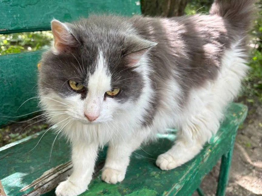 Бросили.Он зря ждёт то у дверей,то на лавочке у до