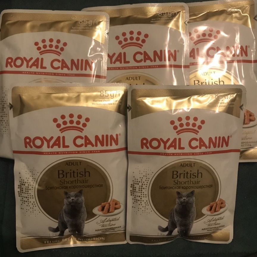 Корм для кошек royal canin british влажный