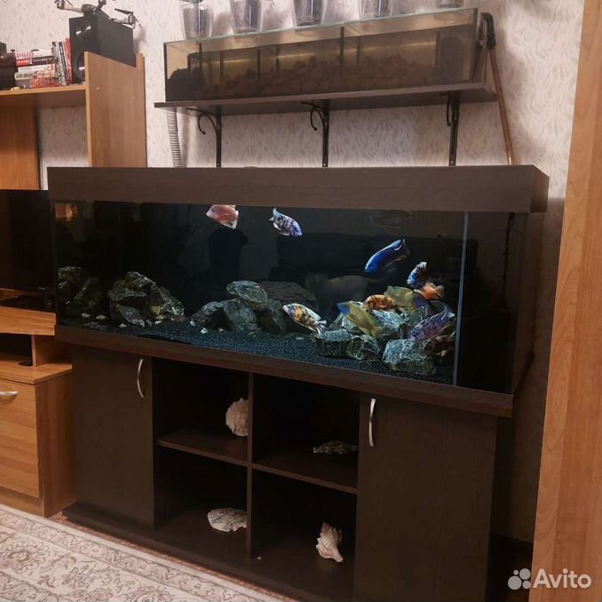 Аквариум 375л с тумбой и биофильтром