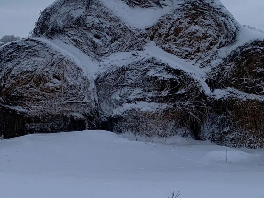 Солома в тюках