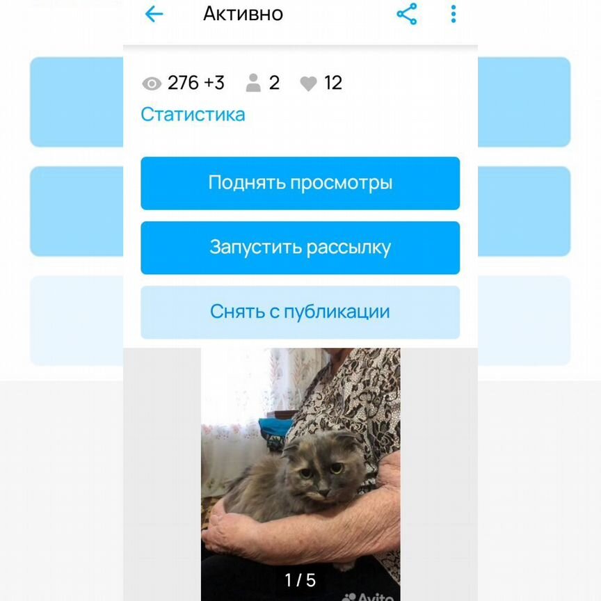 Отдам даром в хорошие руки