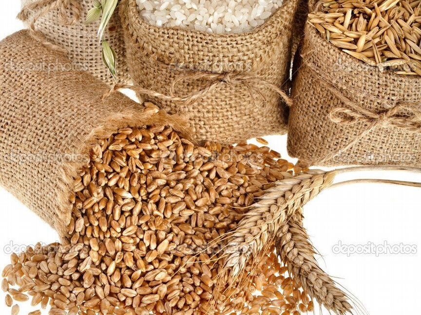 Продам дробленку, зерно.Пшеницу семенную