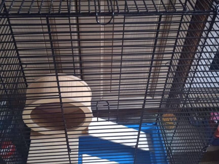 Клетка для грызунов